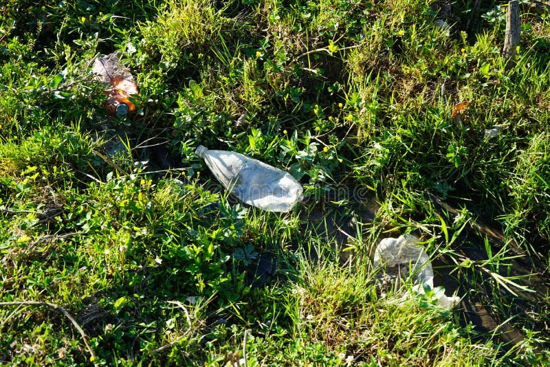 Environmental Pollution, Plastic Bottle in Spring Water. Garbage ...