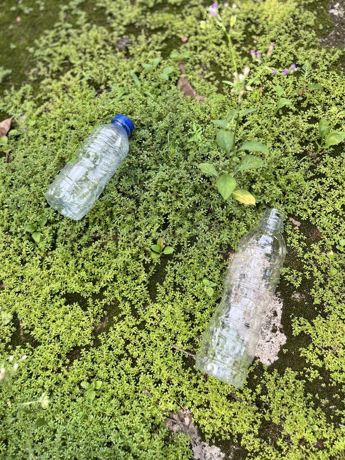 Environmental Pollution by Plastic Bottles Cause of Flooding Stock ...