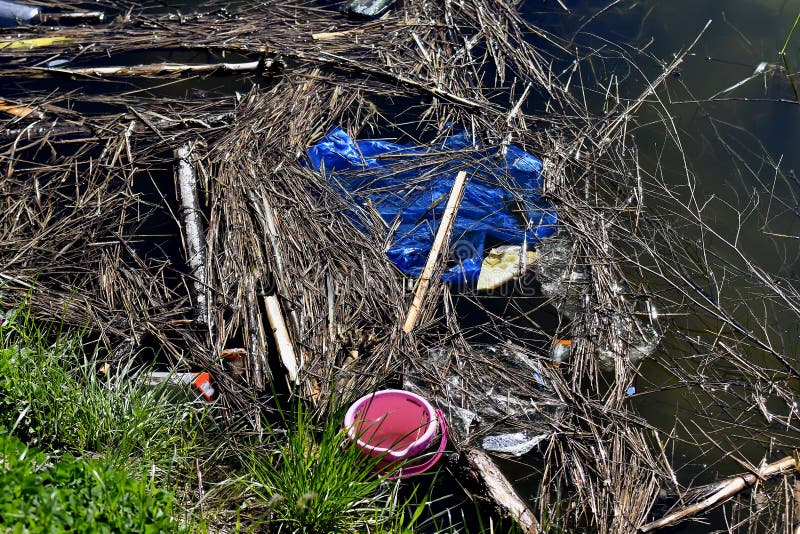 Environmental Pollution in a Pond Stock Image - Image of plastic ...