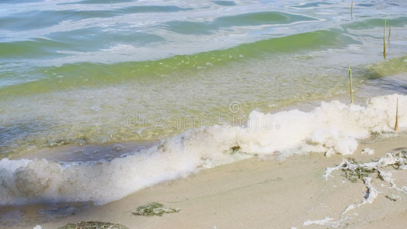 Garbage on the River. Pollution of Water Bodies. the Problem of Plastic ...