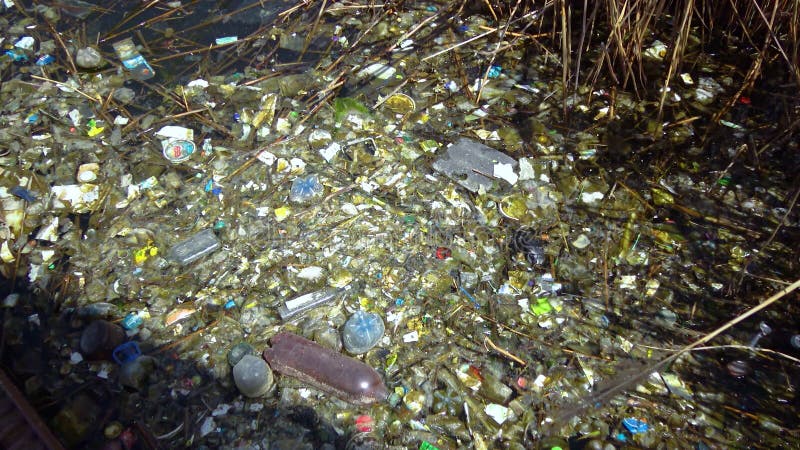 Environmental Pollution. Rubbish and Plastic Floats in the Water Stock ...