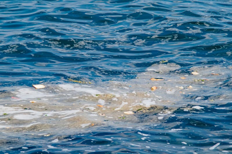 Environmental Pollution in the Sea Stock Image - Image of ecosystem ...
