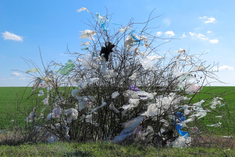 Environmental Pollution. Trash in the Trees. Bad Attitude To Nature ...