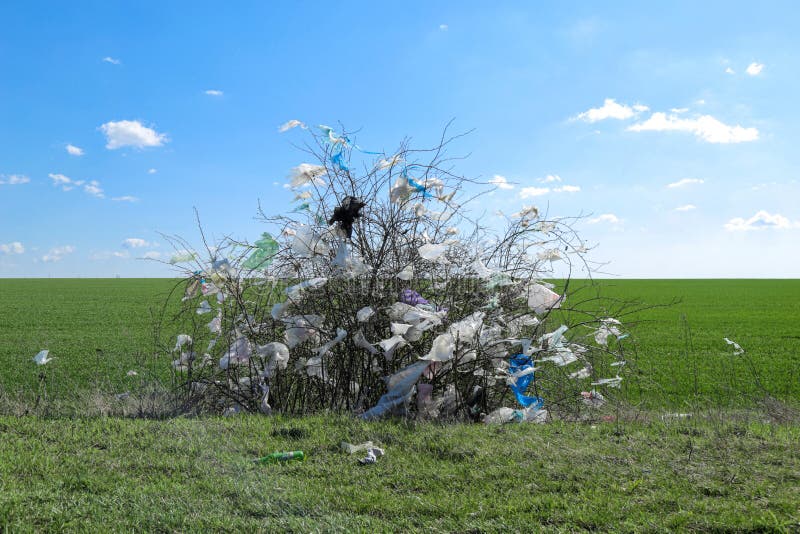 Environmental Pollution. Trash in the Trees. Bad Attitude To Nature ...