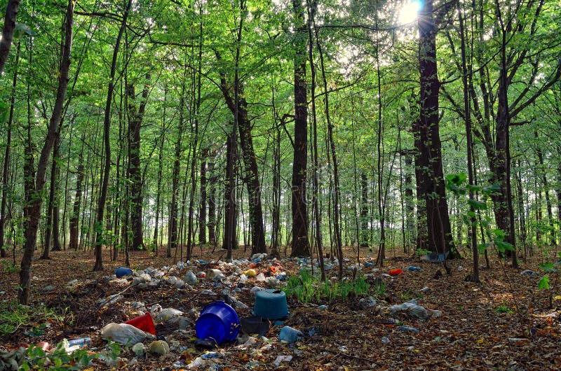 Environmental Pollution with Waste, Garbage in the Forest Stock Image ...