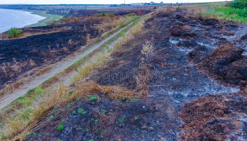 Environmental Problem Due To Fires in Nature, Scorched Vegetation on ...