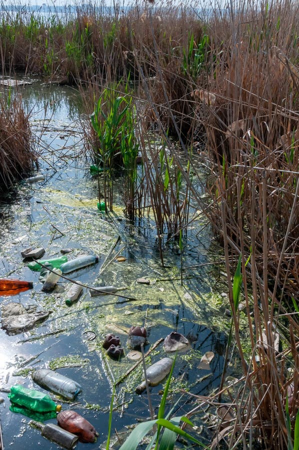 Environmental Problem, Garbage. Contamination with Debris and Plastic ...