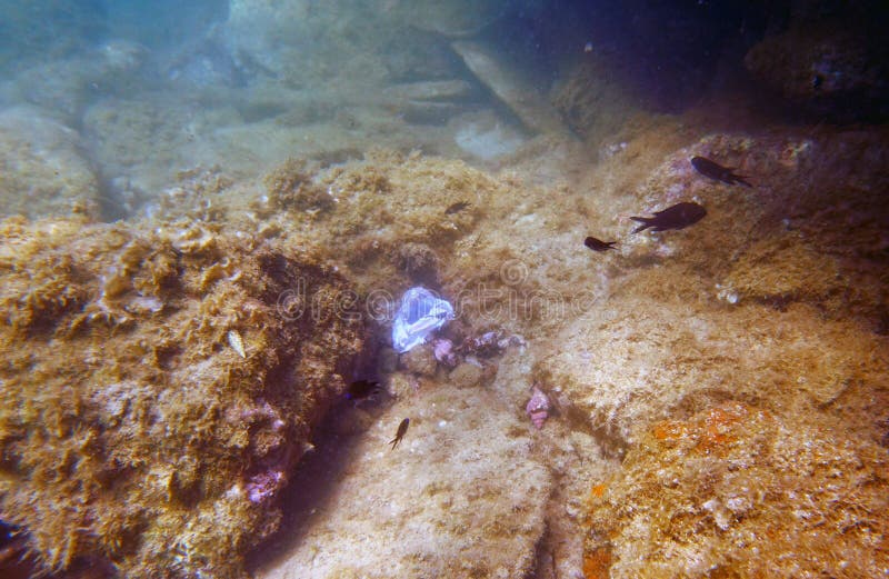 Environmental Problem of Plastic and Other Rubbish Pollution Under the ...