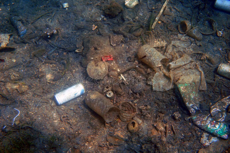 Environmental Problem of Plastic and Other Rubbish Pollution Under the ...