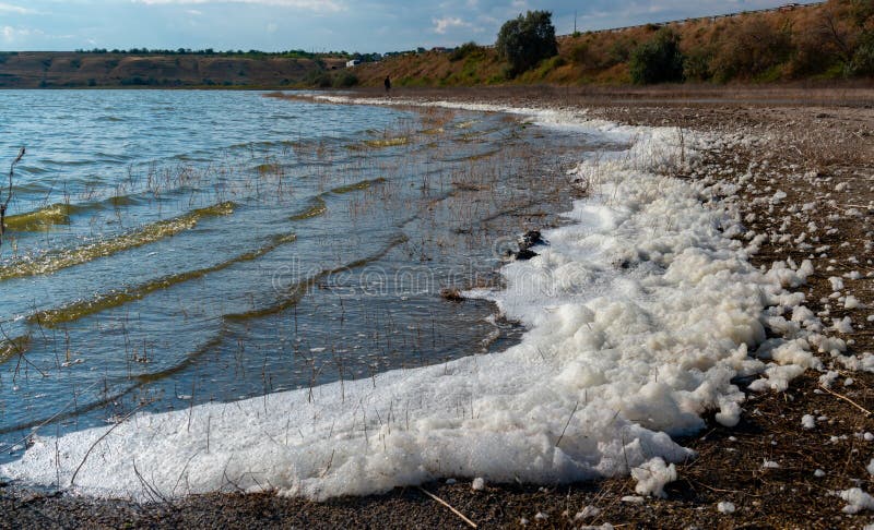 Environmental Problem and Pollution, Eutrophication of a Natural ...