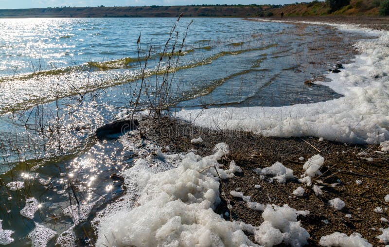 Environmental Problem and Pollution, Eutrophication of a Natural ...