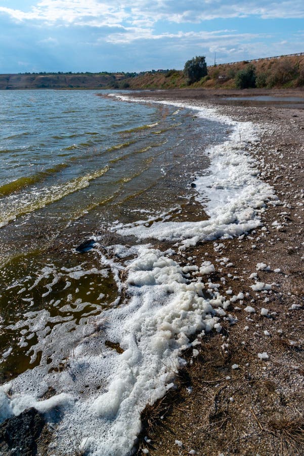 Environmental Problem and Pollution, Eutrophication of a Natural ...