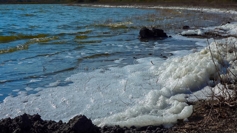 Environmental Problem and Pollution, Eutrophication of a Natural ...