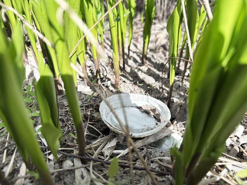 Environmental Problems Concept with Non-decomposable Garbage on Soil ...