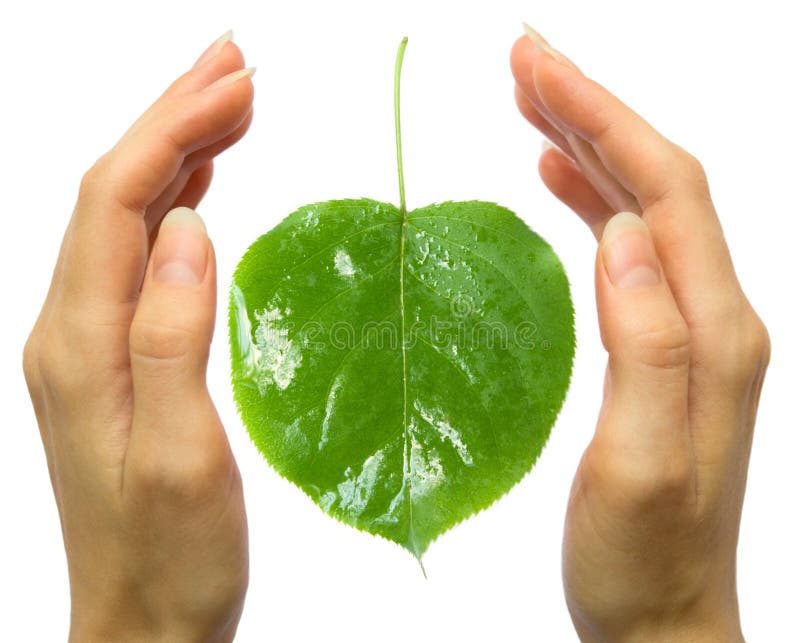 Human Role in Environment Protection Stock Photo - Image of ...