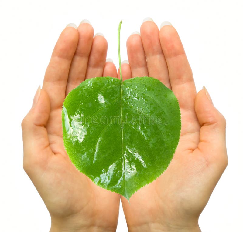 Environmental protection stock image. Image of environmental - 11077269