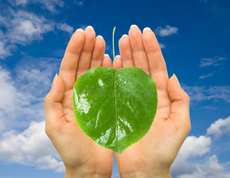 Environmental protection stock image. Image of environmental - 11077269