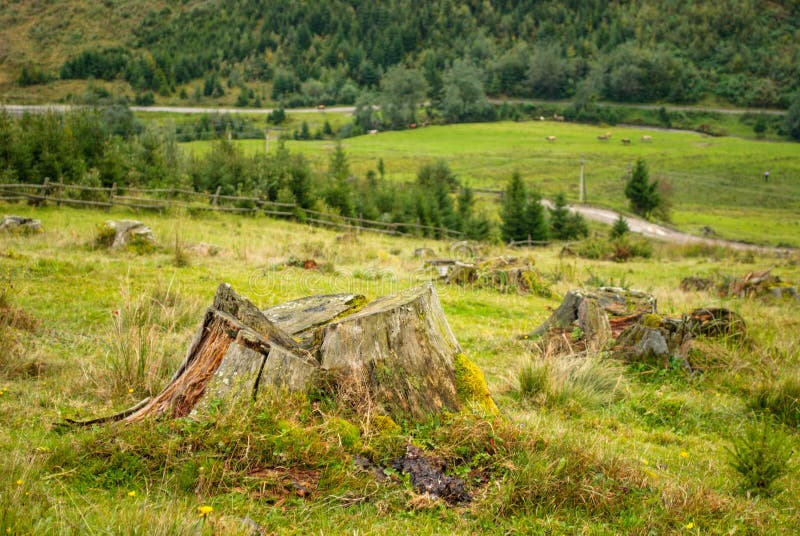 Environmental protection stock image. Image of nature - 26624849