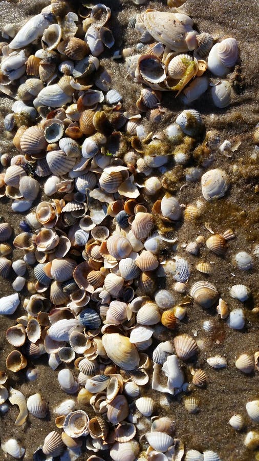 Environmental Waste stock image. Image of open, poor - 184829727