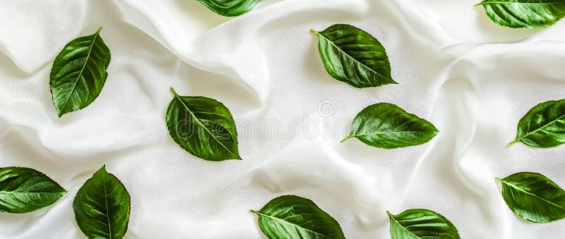 An Environmentally Friendly Alternative To Polyester Fabrics with a ...