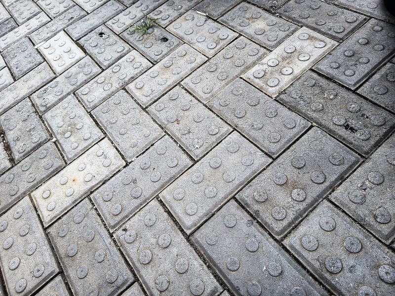 The Environmentally Friendly Pathway Made from Recycled Plastic Paving ...