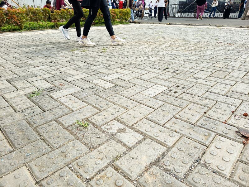 The Environmentally Friendly Pathway Made from Recycled Plastic Paving ...