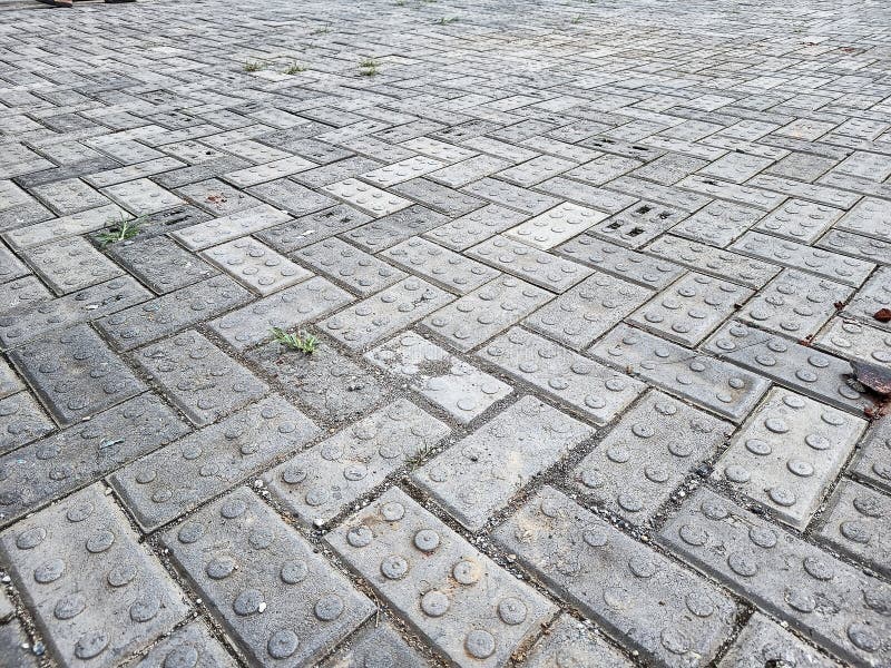 The Environmentally Friendly Pathway Made from Recycled Plastic Paving ...
