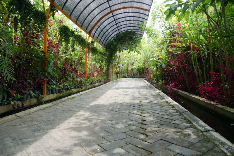 Environmentally Friendly Paving Path with Healthy Plants Around it ...