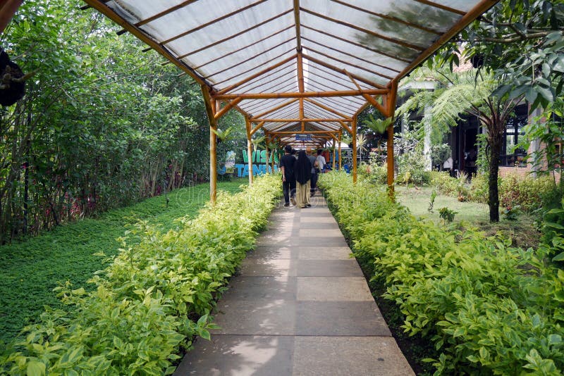 Environmentally Friendly Paving Path with Healthy Plants Around it ...