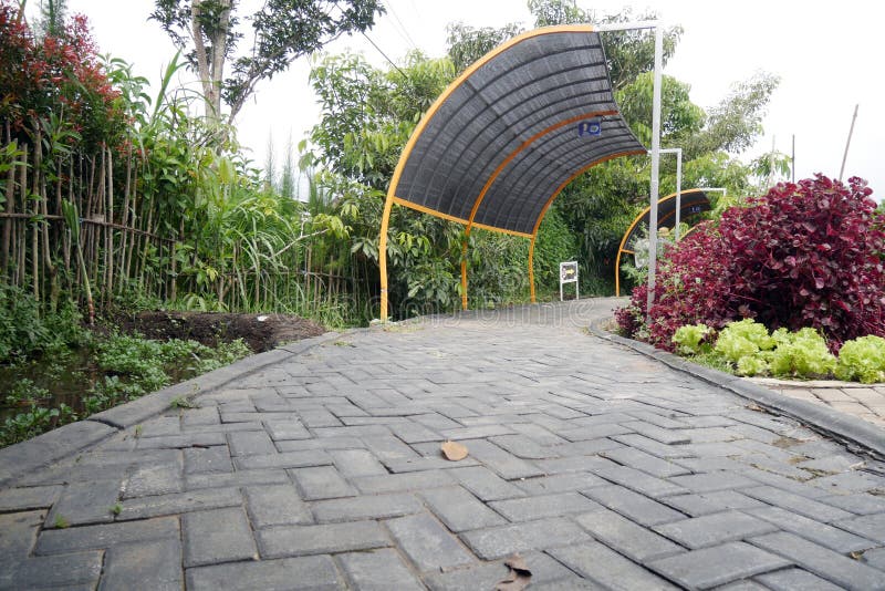 Environmentally Friendly Paving Path with Healthy Plants Around it ...