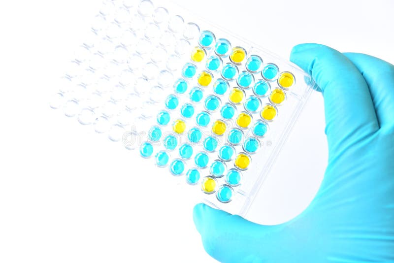 ELISA plate in laboratory stock image. Image of elisa - 126727039