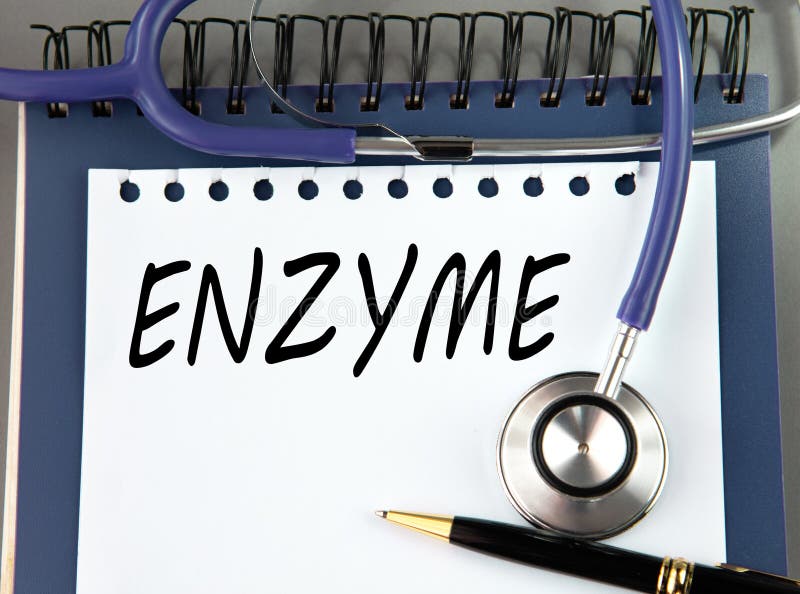 ENZYME is a Word on a White Sheet Against a Stethoscope Stock Image ...
