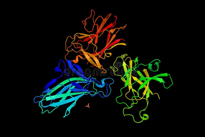 Ras P21 Stock Illustrations – 1 Ras P21 Stock Illustrations, Vectors ...