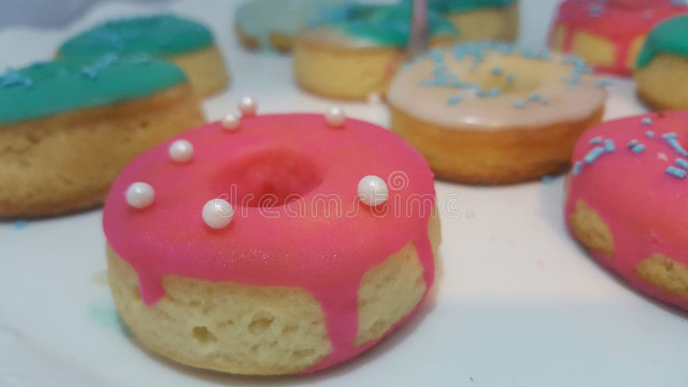 Epic donuts stock photo. Image of plate, epic, homemade - 76764710