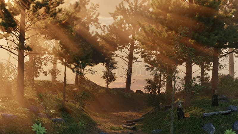 Epic sunset and forest stock image. Image of wilderness - 230125031