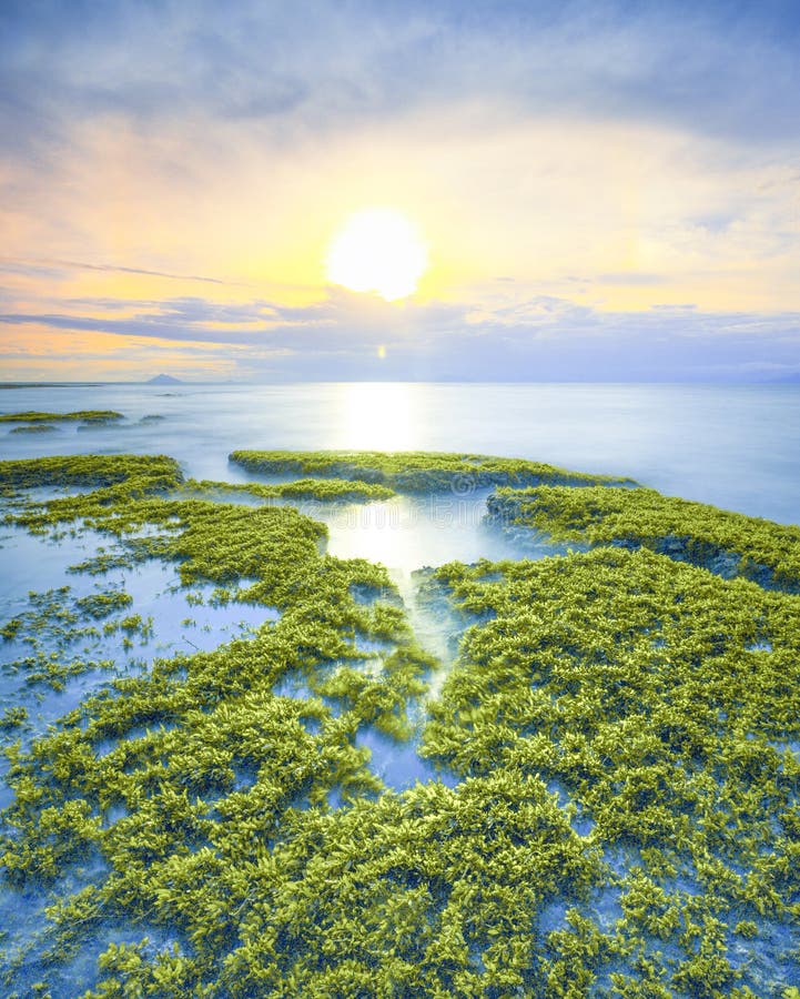 Epic Sunset Sky Ocean Wave Nature Stock Photo - Image of wetland ...