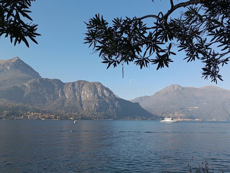 Epic View of the Forest Taken with the Drone Stock Photo - Image of ...