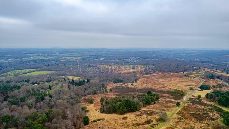 Epic View of the Forest Taken with the Drone Stock Photo - Image of ...