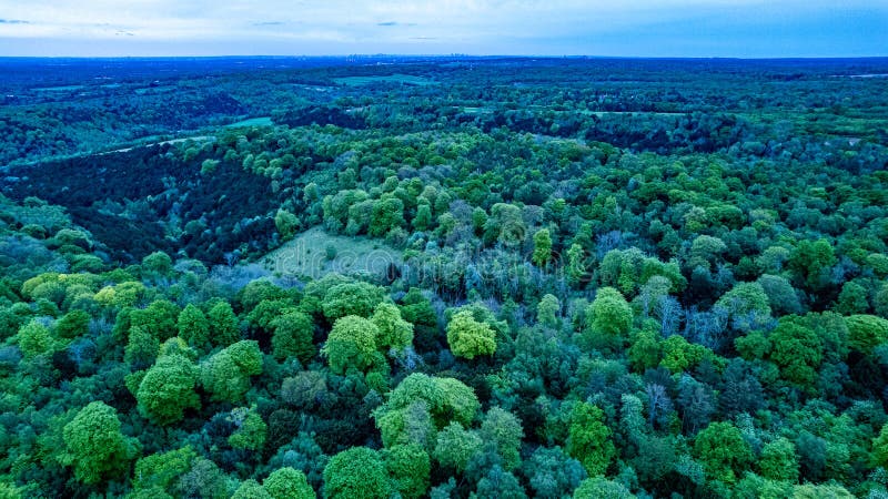 Epic View of the Forest Taken with the Drone Stock Photo - Image of ...
