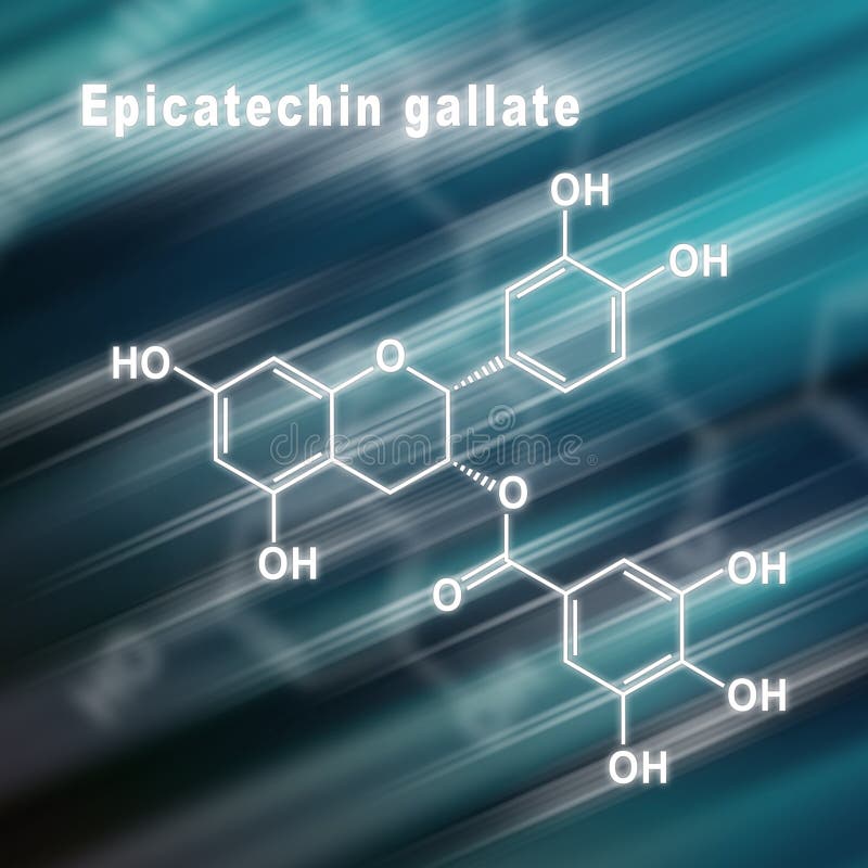 Catechin, Epicatechin, Flavonoid, C15H14O6 Molecule. it is Flavanol, a ...