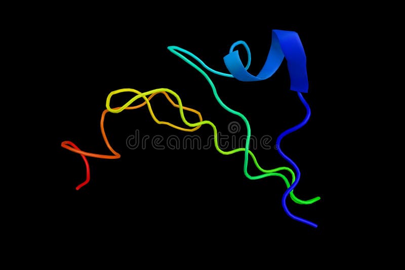 Epidermal Growth Factor (EGF), a Growth Factor that Stimulates C Stock ...