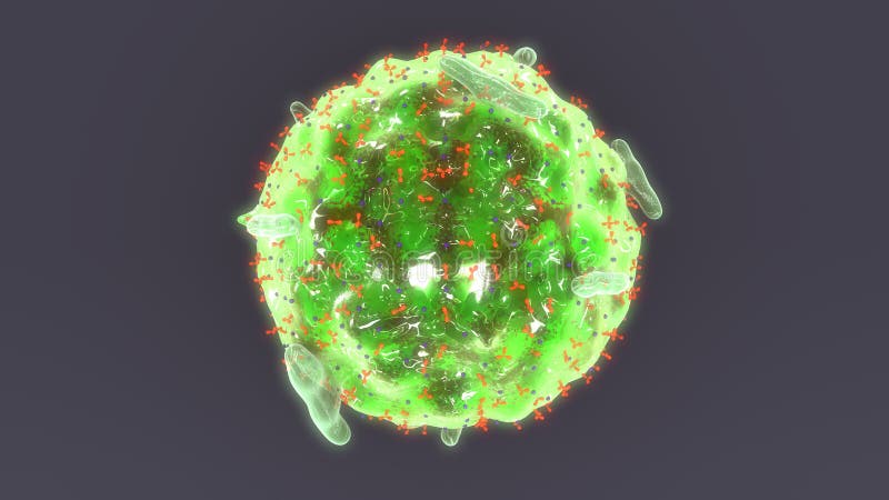Epinephrine stock illustration. Illustration of adrenal - 84221835