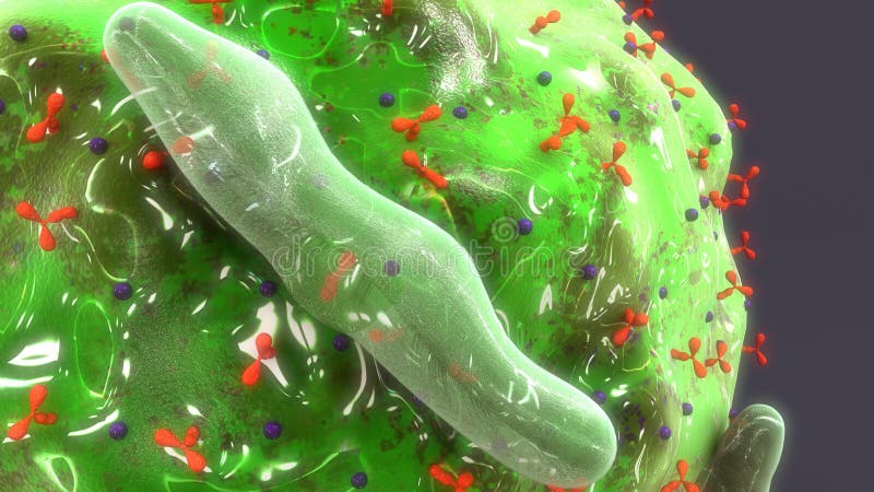 Epinephrine stock illustration. Illustration of acid - 84222221