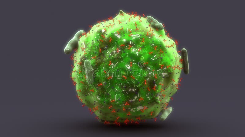 Epinephrine stock illustration. Illustration of molecular - 84222260