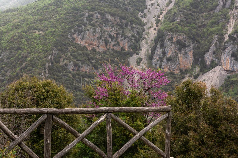 Epirus and Tzoumerka Mountains Stock Image - Image of epirus, forest ...