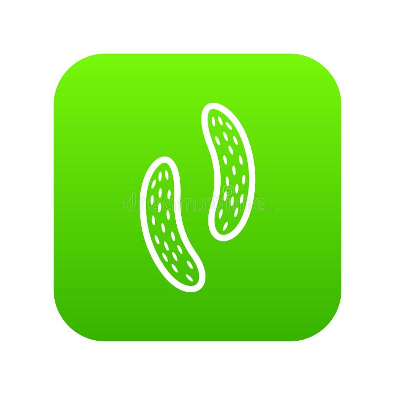 Epithelial Cell Icon Digital Green Stock Vector - Illustration of ...