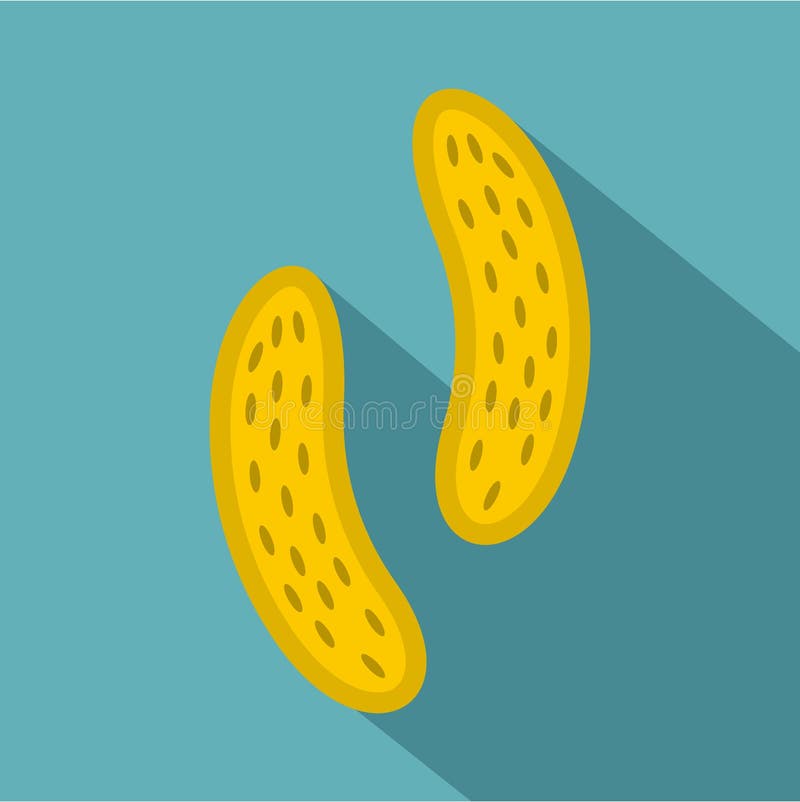 Epithelial Cell Icon, Flat Style Stock Vector - Illustration of ...