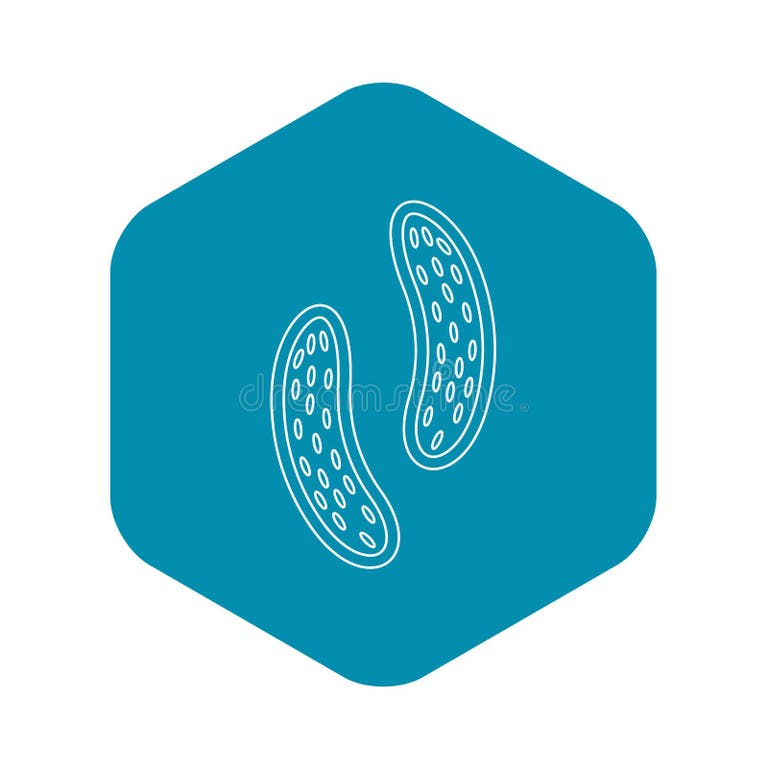 Epithelial Cell Icon, Outline Style Stock Vector - Illustration of ...