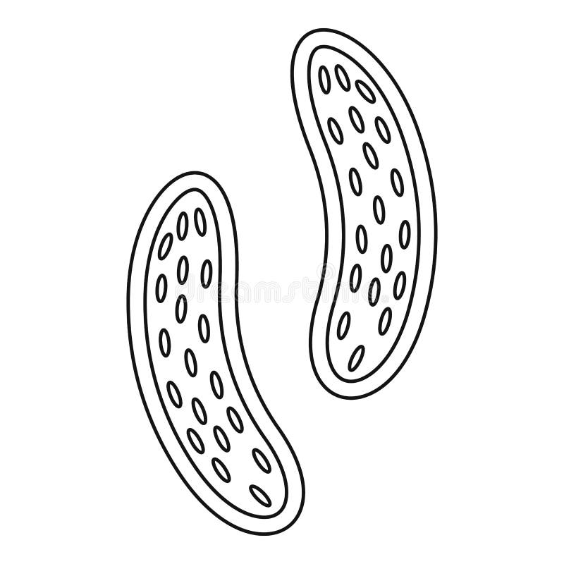 Epithelial Cell Icon, Outline Style Stock Illustration - Illustration ...