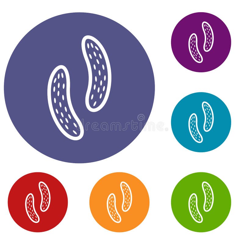 Stem Cell Symbol Set Stock Illustrations – 102 Stem Cell Symbol Set ...